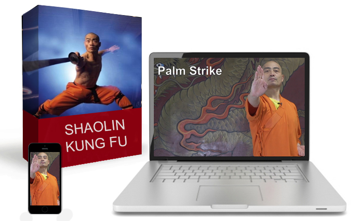 Shaolin Basic Skills | USA Shaolin Temple Online Courses